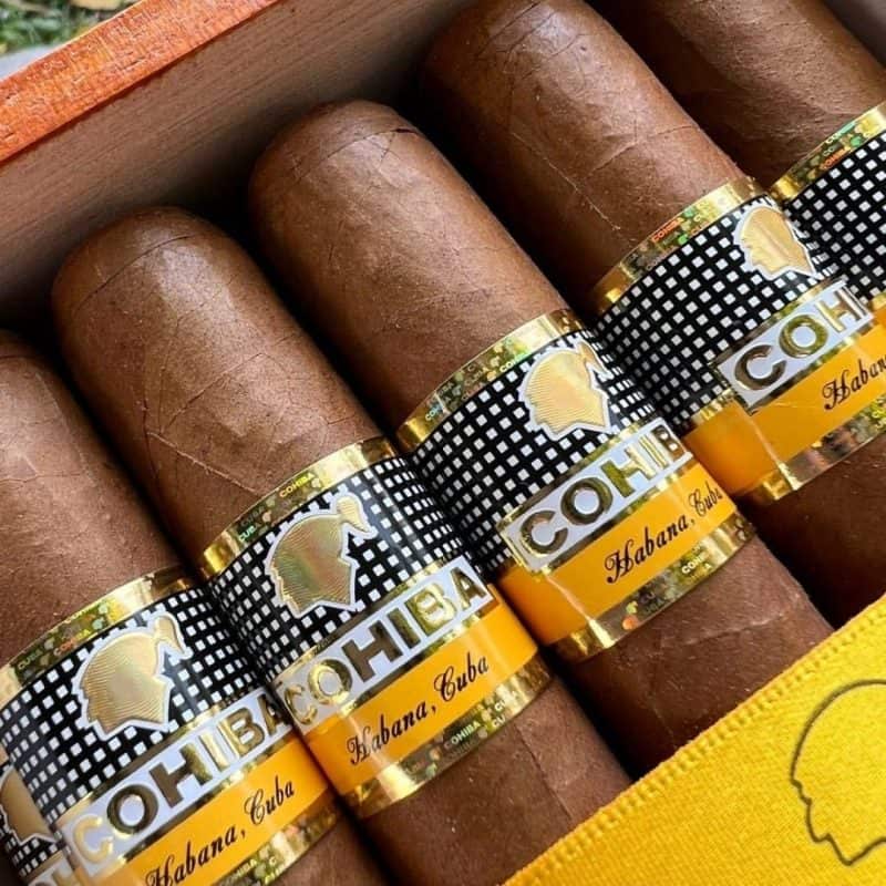 ️ Cohiba Siglo VI: Pinnacle of Cuban Cigars